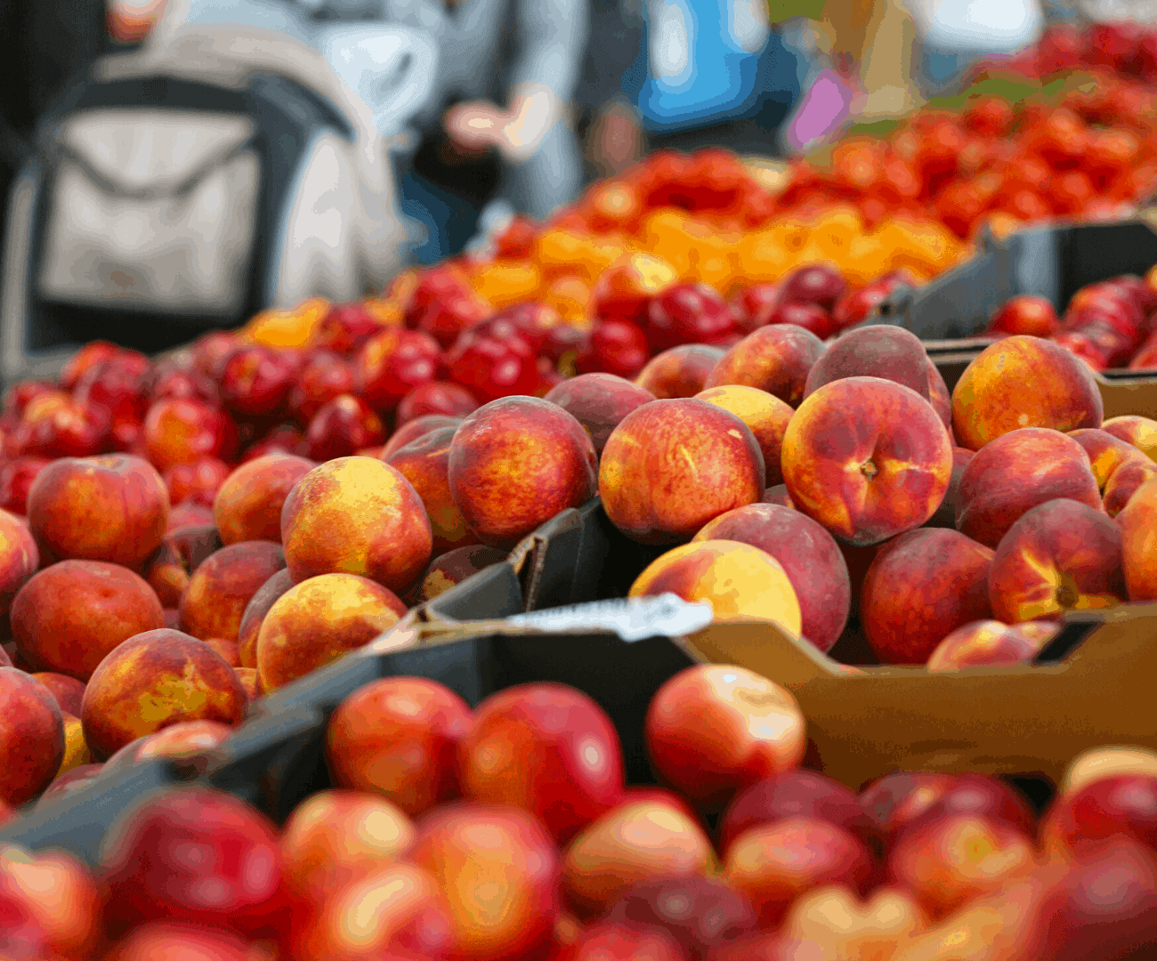 Regionales Steinobst - EDEKA Seifert Kressbronn & Langenargen | Frische & Regionales vom Bodensee