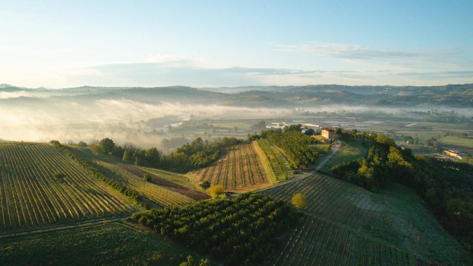 Eigenmarken Pasta Rey - EDEKA Seifert Kressbronn & Langenargen ...